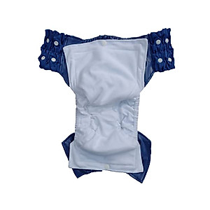 Night Time Washable Cloth Pull Up Diapers for Toddlers and Preschoolers, Ages 2 Years to 6 Years (Royal Blue, Small (2-4 Years))