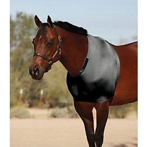 Sleazy Sleepwear for Horses Small Solid Stretch Shoulder Guard Hunter Green