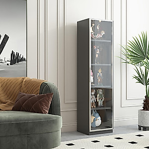 Holaki Display Cabinet with Glass Doors and Lights, 63" Tall Bookcase,5-Tier Storage Shelves, Single Door Metal Storage Cabinet,Trophy Case Display Cabinet for Collectibles,Display Case Cabinet,Grey