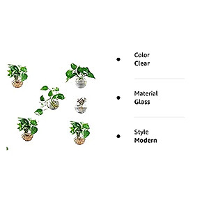 DZHJKIO Pack of 6 Glass Planters Wall Hanging Planters Round Glass Plant Pots Hanging Air Plant Pots Flower Vase Air Plant Terrariums Wall Hanging Plant Container, 12 cm Diameter