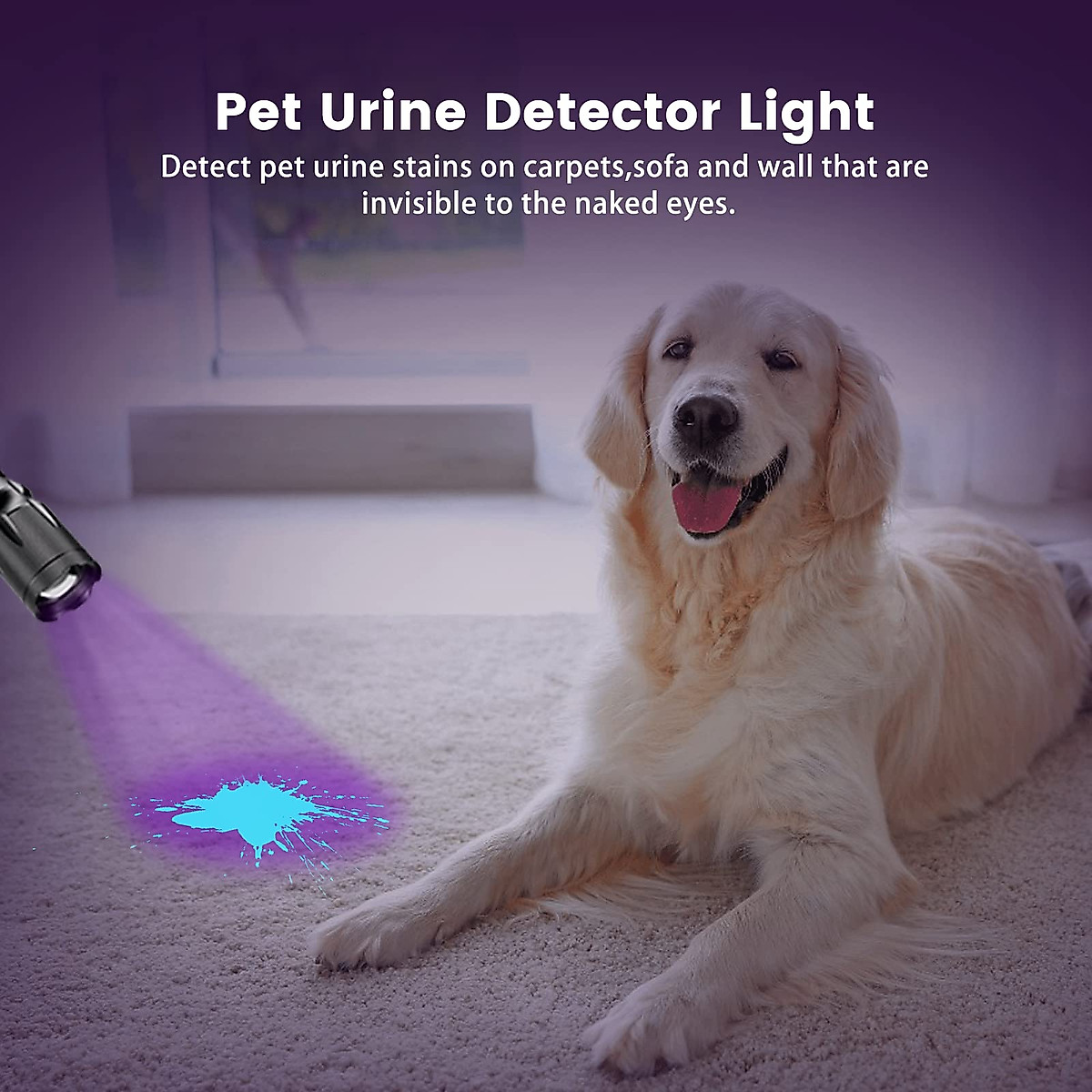 EOWCO UV Flashlight 365nm & 395nm, Ultraviolet Black Light Flashlights, Handheld Zoomable Blacklight Torch Wood's Lamp, Detector for Pet Urine Dry Stains, Resin Curing, Rocks, Scorpions Finder