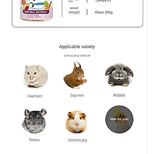 JONSANTYGFRY Hamster, Hedgehog, Lizard, Frog, Bird, Hedgehog, Snack, Nutritious, Food for Small Animals