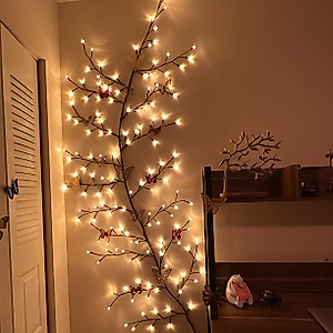 Enchanted Willow Vine 9.5FT, 160 LEDs Vines for Room Decor with Remote, Vine Lights for Wall Home Decorations with 20 Clips & Tapes, Plug in, 1 PC