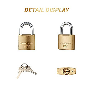 CINCINNO 6 Pack Solid Brass Keyed Alike Padlock with Key, Small Locks with Keys for Gym Locker, Case, Backpack, Luggage
