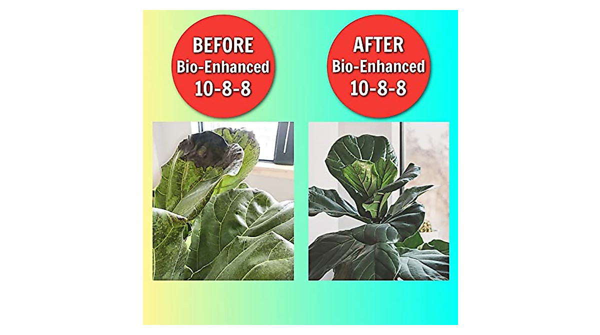 Nature's Bio-Enhanced 10-8-8 Plant Food: All-Purpose & Pet-Safe