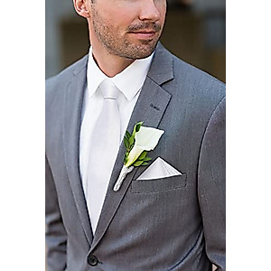 DiBanGu Tie Set for Men Solid Color Necktie, Gold Tie Tack, Gold Tie Ring, Pocket Square, Cufflinks Formal Mens Silk Tie, White