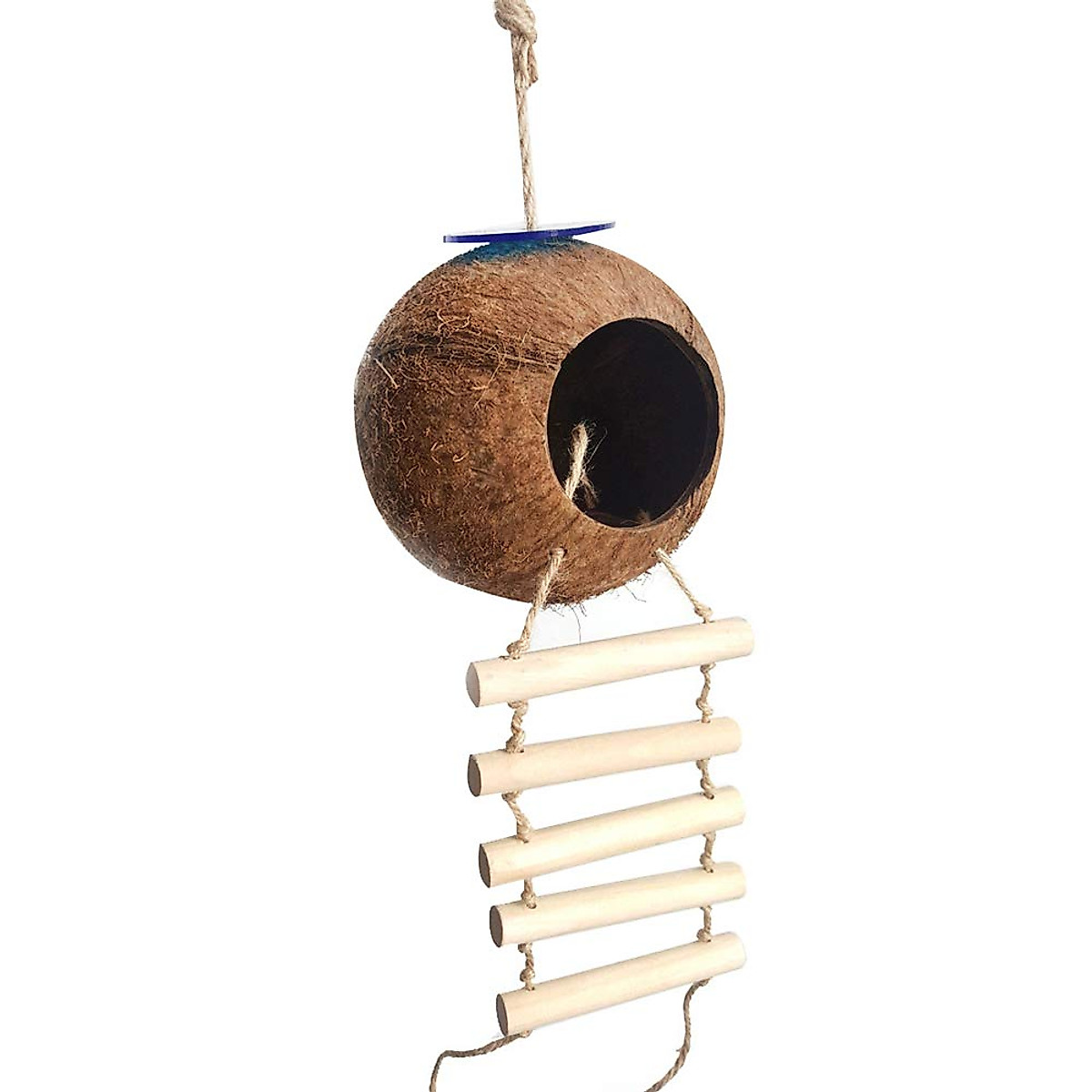 Bluelanss Bird House with Ladder - Beautiful Nesting Home and Bird Feeder - Natural Textures Encourage Foot and Beak Exercise - Natural Coconut Husk - Sustainable Materials - Durable Habitat C