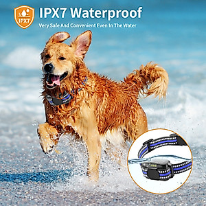 brapezie Lightest Dog Shock Collar 2Dogs, Dog Training Collar with Remote for Small Dogs 5-15lbs & Medium Large Dogs/Puppies, Waterproof, Rechargeable, 2000ft Range