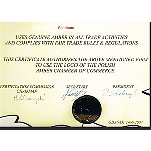 Ian and Valeri Co. Black Cherry Amber Sterling Silver Leverback Earrings