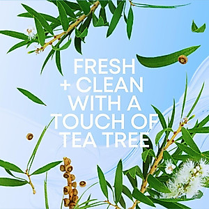 Bushbalm Ingrown Hair Oil - Helps with Ingrown Hair, Underarm Bumps, Soothes Skin, Razor Bumps and Post Shave Redness, 30 ml - Nude Oil