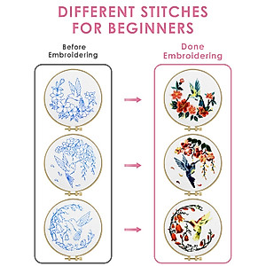 TINDTOP Hummingbird and Flower Embroidery Kit for Adults