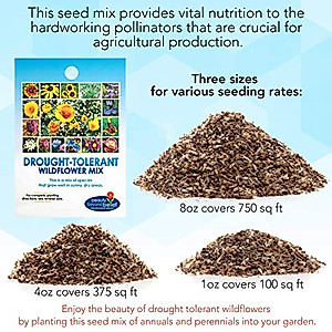 Drought Tolerant Wildflower Seeds Open-Pollinated Bulk Flower Seed Mix for Beautiful Perennial, Annual Garden Flowers - No Fillers - 4 oz Packet