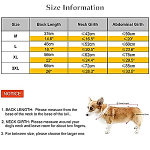 Waterproof Dog Raincoat, Adjustable Reflective Dog Rain Coat with Hoodie, Lightweight Dog Rain Jacket Dog Poncho Slicker with Leash Hole for Small Medium Large Dogs (Large, Green)