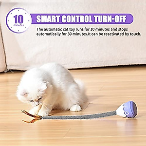 FEECOS Cat Toys, Cat Wand Toy Electronic Silicone PlushTail Toy Automatic Interactive Toy for Indoor Cats, USB Rechargeable Robotic Cat Moving Toys Pet Exercise Toys Kitten Toys