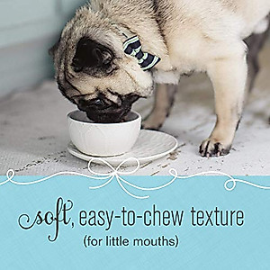 Purina Bella Natural Small Breed Pate Wet Dog Food, With Beef & Smoked Bacon in Savory Juices - (12) 3.5 oz. Trays