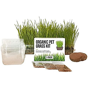 The Cat Ladies Cat Grass Growing Kit -Organic Seed, Soil and BPA Free containers (Non GMO).Locally sourced Seeds! (3 Pack)