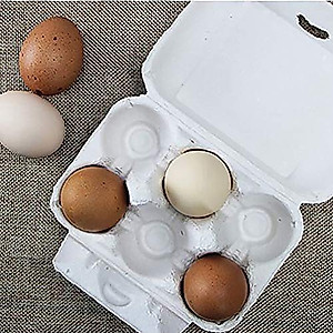 Cabilock 20pcs Egg Cartons Paper Trays Printed Natural Pulp Egg Cartons Holds Up to 6 Eggs Biodegradable Pulp Fiber Egg Flats Egg Organizing Cases