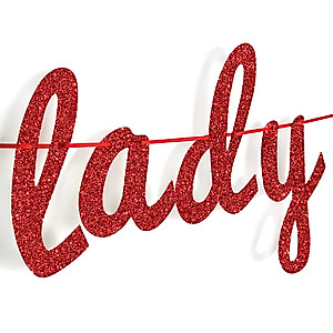 Ladybug Theme Happy Birthday Little Lady Banner - Girl's Baby Shower/Birthday Party Backdrops- Baby's 1st/2nd/3rd Barthday Decorations Supplies for Girl