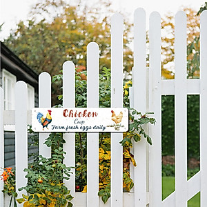 CREATCABIN Metal Tin Sign Summer Chicken Coop Farm Fresh Eggs Daily Retro Vintage Funny Wall Art Mural Hanging Iron Painting for Home Garden Bar Pub Kitchen Living Room Office Plaque 16x4inch