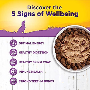 Wellness Complete Health Natural Wet Canned Dog Food, Senior Chicken & Sweet Potato, 12.5-Ounce Can (Pack of 12)