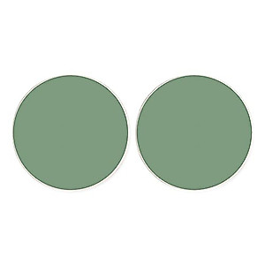 Solid Cool Sage Green 2.75 x 2.75 Absorbent Ceramic Car Coasters Pack of 2
