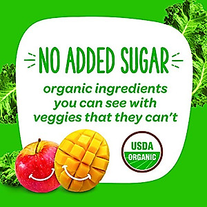 HAPPYKID Organics Organic Kid Snack, Apple, Kale, & Mango, 3.17 Ounce Pouch, Pack of 16 (Packaging May Vary)