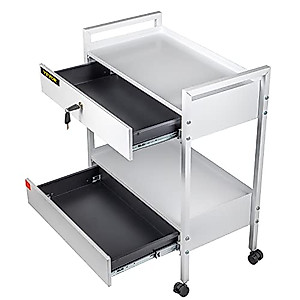 VEVOR Lab Cart, 2 Tiers Stainless Steel Utility Cart Medical Cart 2 Drawers Rolling Lab Cart White Paint Serving Cart with 360° Casters for Laboratory Hospital Dental Office Salon Beauty