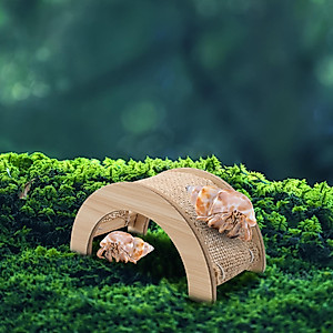 Hermit Crabs Climbing Bridge, Wooden Hermit Crab Climbing Toys with Jute Cloth, Hermit Crab Hideout, Aquarium Tank Accessory Small Animals Cage Accessory for Hermit Crab Hamster Chinchilla Ferret
