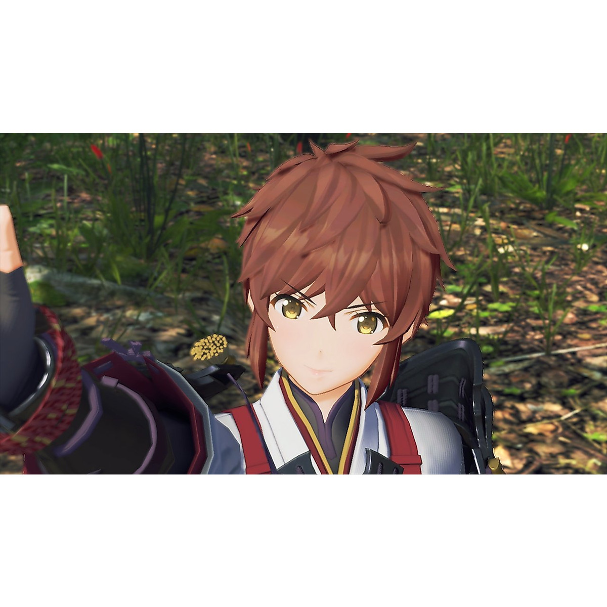 Xenoblade Chronicles 2: Torna The Golden Country (English) (Non-US Version)