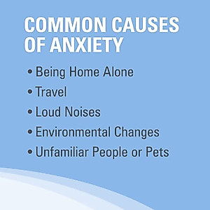 Nutramax Solliquin Calming Behavioral Health Supplement for All Dogs Over 8lbs - With L-Theanine, Magnolia / Phellodendron, and Whey Protein Concentrate, 60 Chewable Tablets