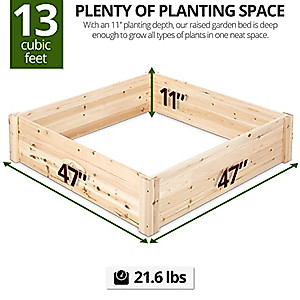 4x4 Cedar Raised Garden Bed Kit – Elevated Ground Planter for Growing Fruit/Vegetables/Herbs – (47 x 47 x 11) inches – Natural Rot-Resistant Wood Last 5+ Years Outdoors