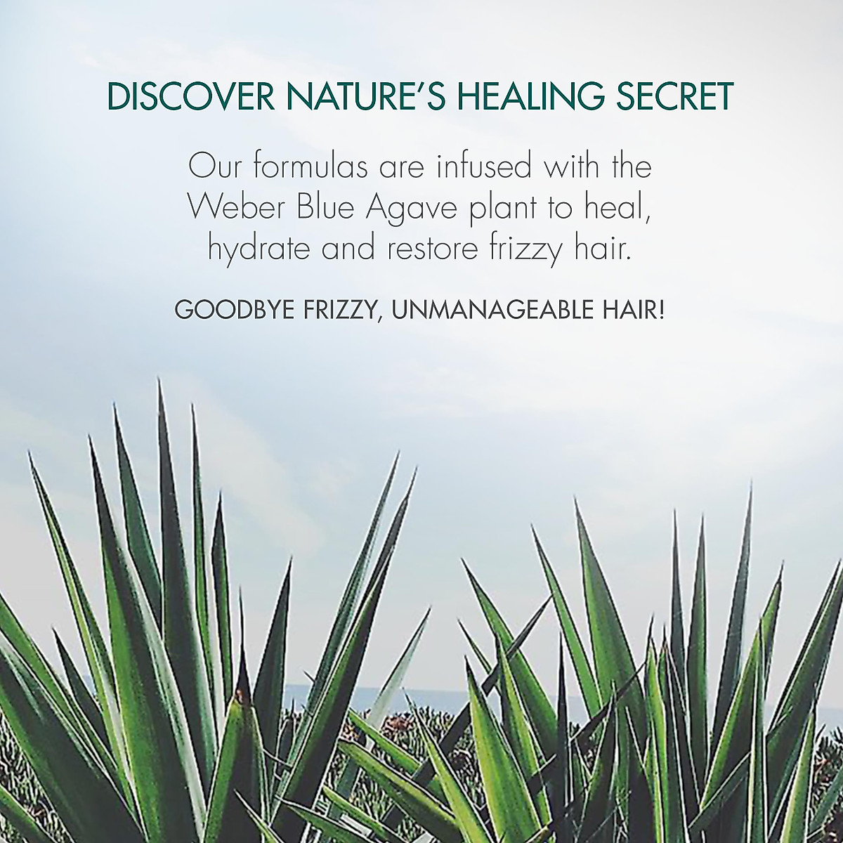 Agave Clarifying Shampoo Deep Cleansing & Hydrating Sulfate-Free Formula, 8.5 fl oz