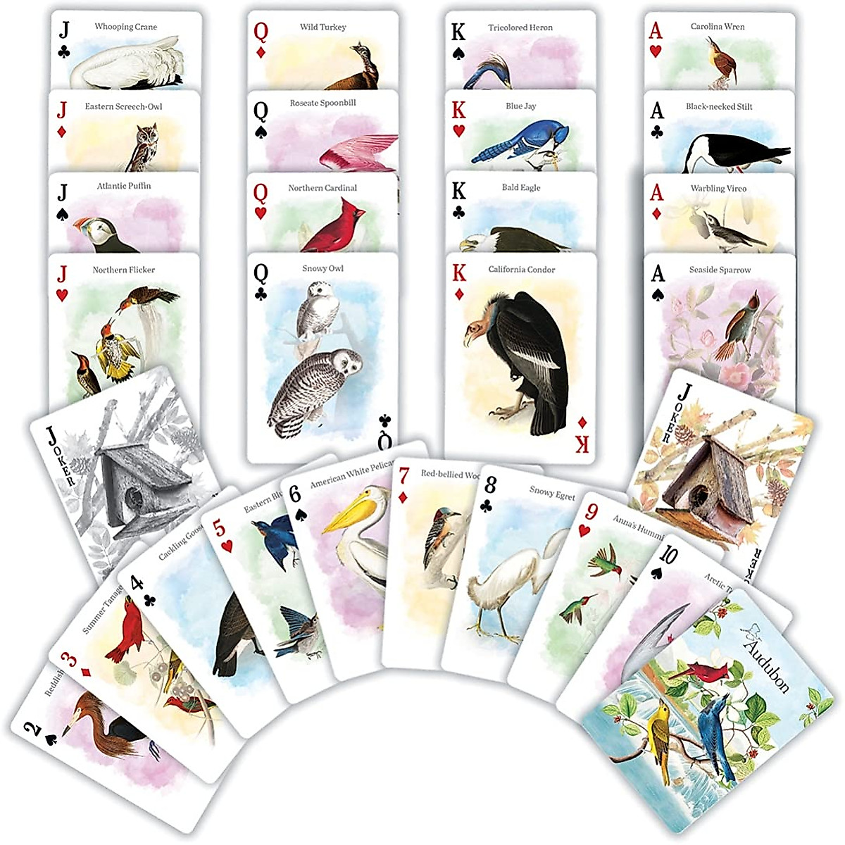 MasterPieces Officially Licensed Audubon Playing Cards - 54 Card Deck for Adults