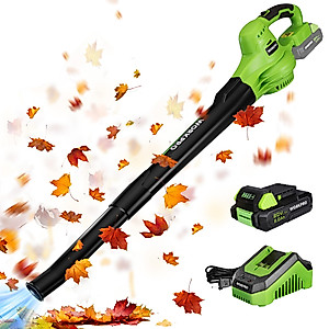 WORKPRO Cordless Leaf Blower, 20V Battery Powered Leaf Blower for Lawn Care, 2-Speed Control Lightweight Mini Electric Leaf Blower with Battery and Charger