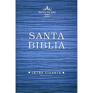 Reina Valera 1960 14-Pt Large Print Paperback (Spanish Edition)