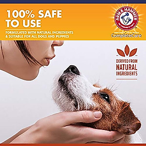 Arm & Hammer Complete Care Dog Dental Spray, 6 Fl Oz | Mint Flavor Dog Dental Spray for Easy Brushless Cleaning | Baking Soda Enhanced Formula for Fresh Breath and Tartar Control