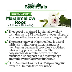Animal Essentials Tinkle Tonic Herbal Formula for Healthy Urinary Tract in Dogs & Cats, 1 fl oz - Made in the USA, Alcohol Free