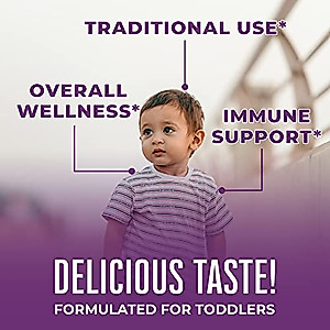Toddler Multivitamin Gummies & USDA Organic Elderberry Liquid Drops for Toddlers Bundle by MaryRuth's | Vitamin C, D3, Zinc | Overall Health | Vegan | Non-GMO | Gluten Free