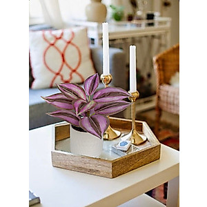 DILATATA 2 Packs Small Fake Plants for Decor Artificial Plants in Ceramic Pot 7.5" Faux Potted Plants Eucalyptus for Home Decor Table Centerpiece Living Room