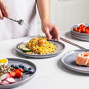 AmorArc Ceramic 10.5inch Dinner Plates and Cereal Bowls set(12PCS), Dishwasher & Microwave Safe, Reactive Grey-Rustic Style