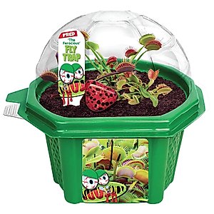 Toys By Nature Character Micro Domes Fred The Ferocious Flytrap Terrarium with Genuine Jasper Stone! (Fred The Ferocious Flytrap)