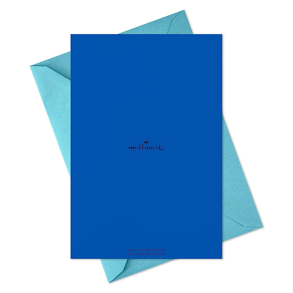 Hallmark Birthday Cards for Kids Assortment, 48 Cards with Envelopes (Dinosaurs, Sloths, Unicorns, Flamingos, Turtles, Sharks)