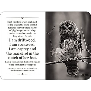 The Acadia National Park Signature Notebook: An Inspiring Notebook for Curious Minds (The Signature Notebook Series)