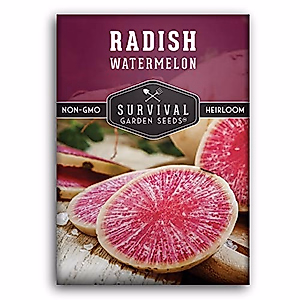 Survival Garden Seeds - Watermelon Radish Seed for Planting - Packet with Instructions to Plant and Grow Unique Asian Vegetables in Your Home Vegetable Garden - Non-GMO Heirloom Variety