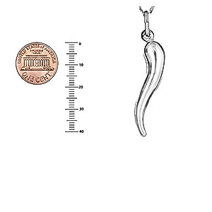 Ritastephens Sterling Silver Large Italian Horn Curb Chain Necklace 22"