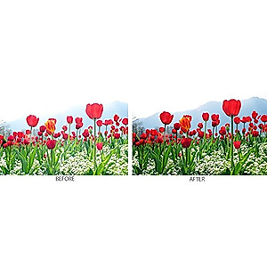 Tronixpro 95mm Pro Series High Resolution Digital Ultraviolet UV Protection Filter for Sigma 150-600mm 50-500mm, Tamron SP 150-600mm f/5-6.3 Di VC USD Lens + Microfiber Cloth