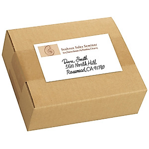 Avery Removable Print or Write 2" x 4" Labels -- Great for Home Organization Projects, Pack of 100 White Labels (5444)