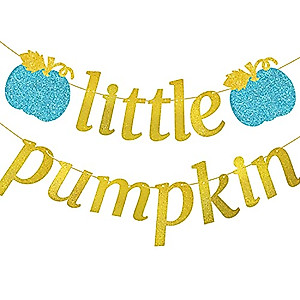 Blue Little Pumpkin Banner Glitter Fall Boy Birthday Baby Shower Decoration Cake Smash Backdrop Halloween Thanksgiving Party Supplies