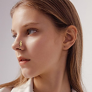 REVOLIA 16Pcs Stainless Steel African Nose Cuff Faux Nose Rings for Women Non Piercing Fake Nose Ring Set G