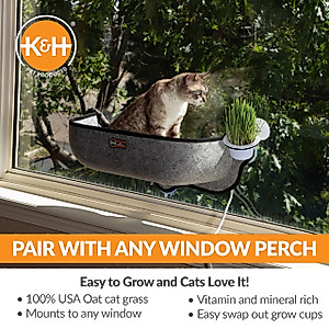 K&H Pet Products EZ Mount Cat Grass Grow Station for Window - Healthy Home Grown Grass Cat Kit for Bored Indoor Adult Cats, Pairs Purr-fectly with Cat Window Perches, Farmed in USA Non-GMO Grass